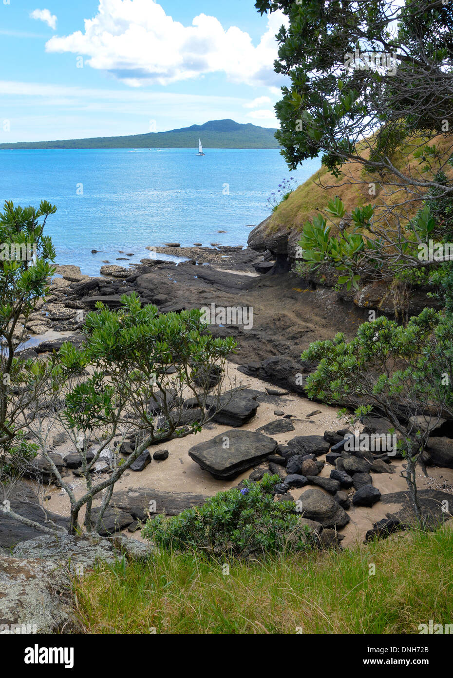View of extinct volcano Rangitoto and the Huraki Gulf shipping channel ...