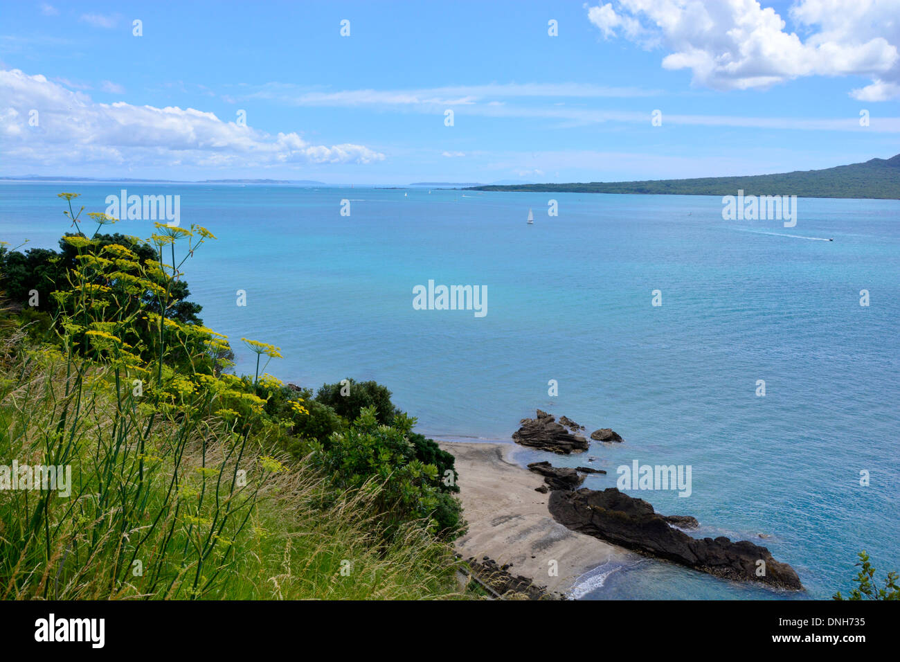 View of extinct volcano Rangitoto and the Huraki Gulf shipping channel ...