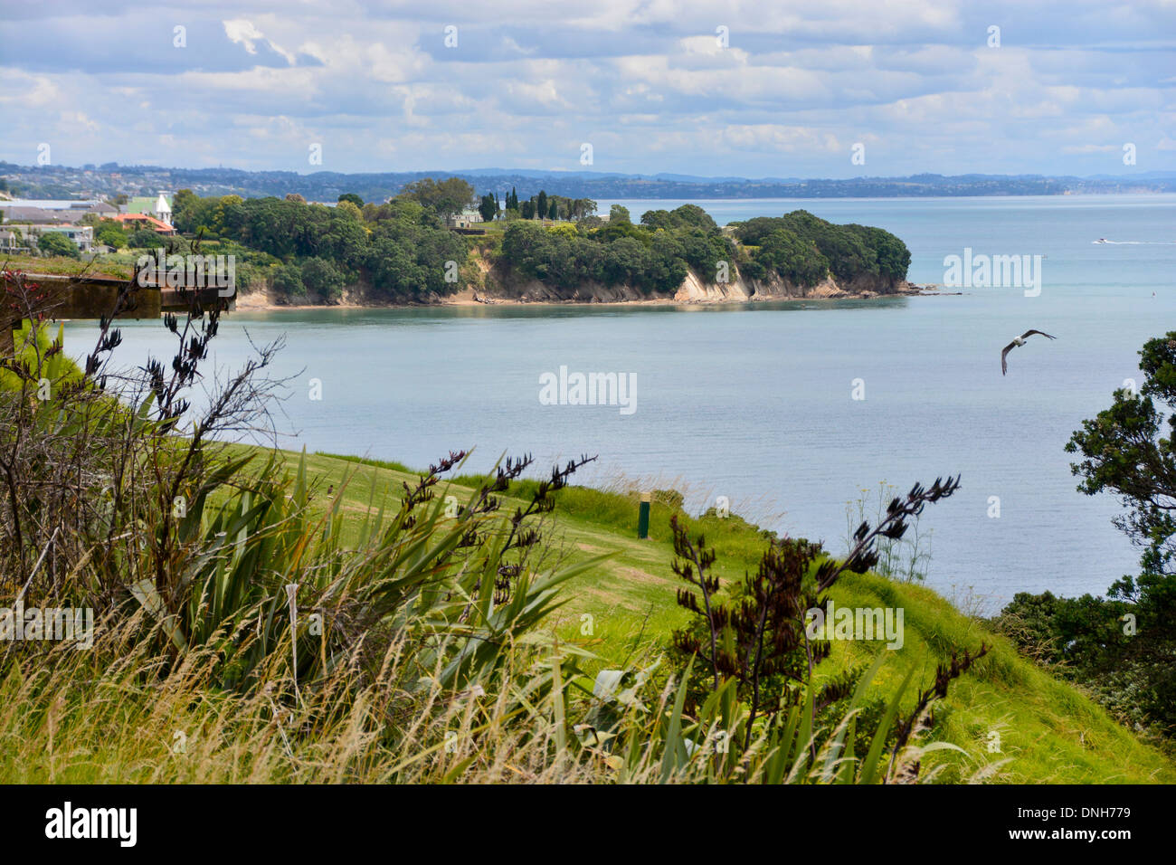 View of Narrow Neck beach and headlands looking north over the Huraki ...