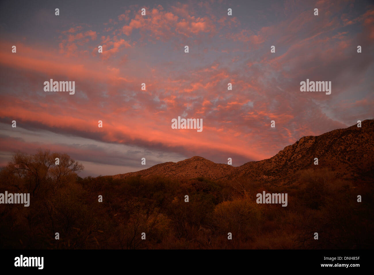 Grasslands flourish in the foothills of the Santa Rita Mountains ...