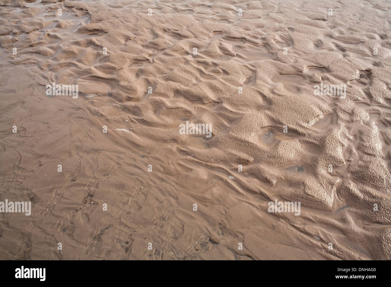 Hidalgo couny hi-res stock photography and images - Alamy