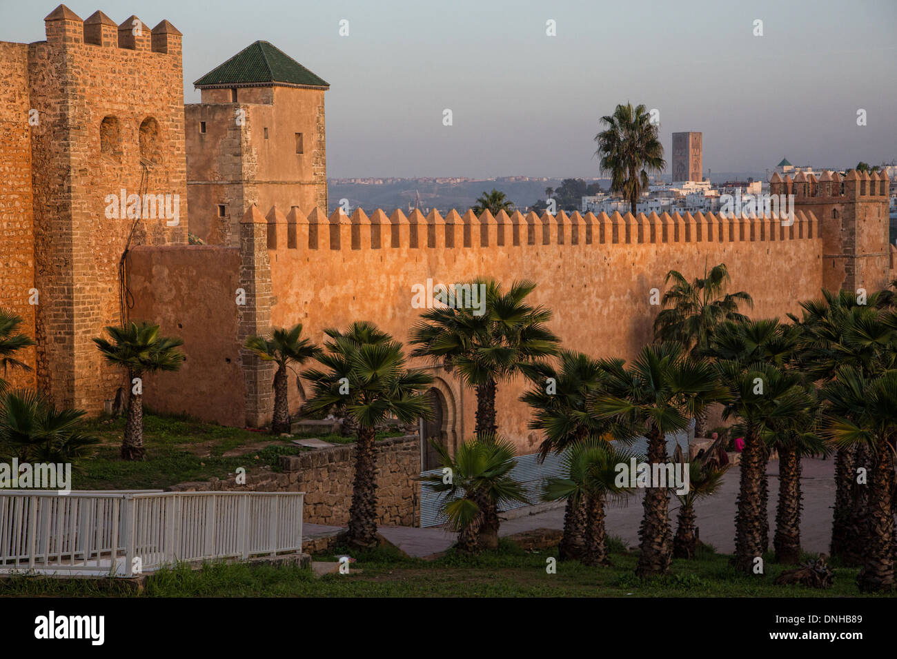 PALM TREES AND THE FORTIFICATIONS SURROUNDING THE OUDAYAS CASBAH, RABAT ...