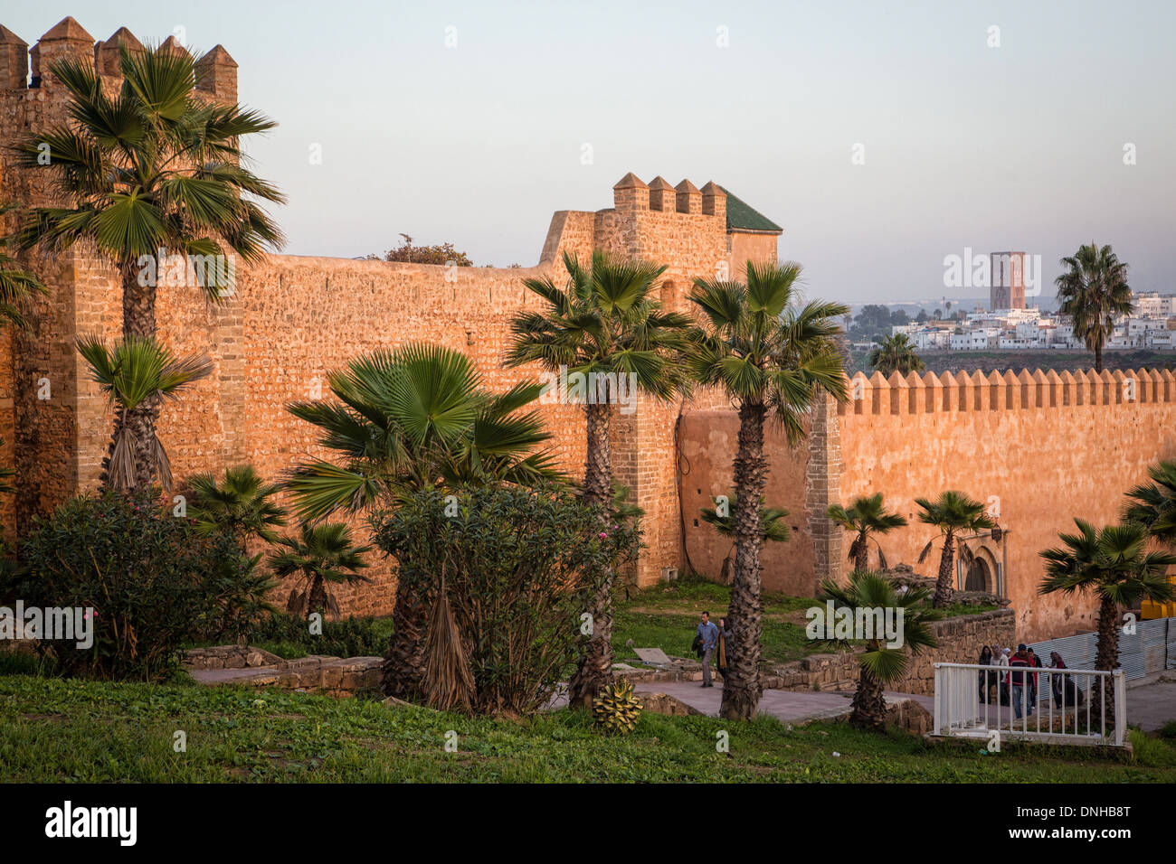 PALM TREES AND THE FORTIFICATIONS SURROUNDING THE OUDAYAS CASBAH, RABAT ...