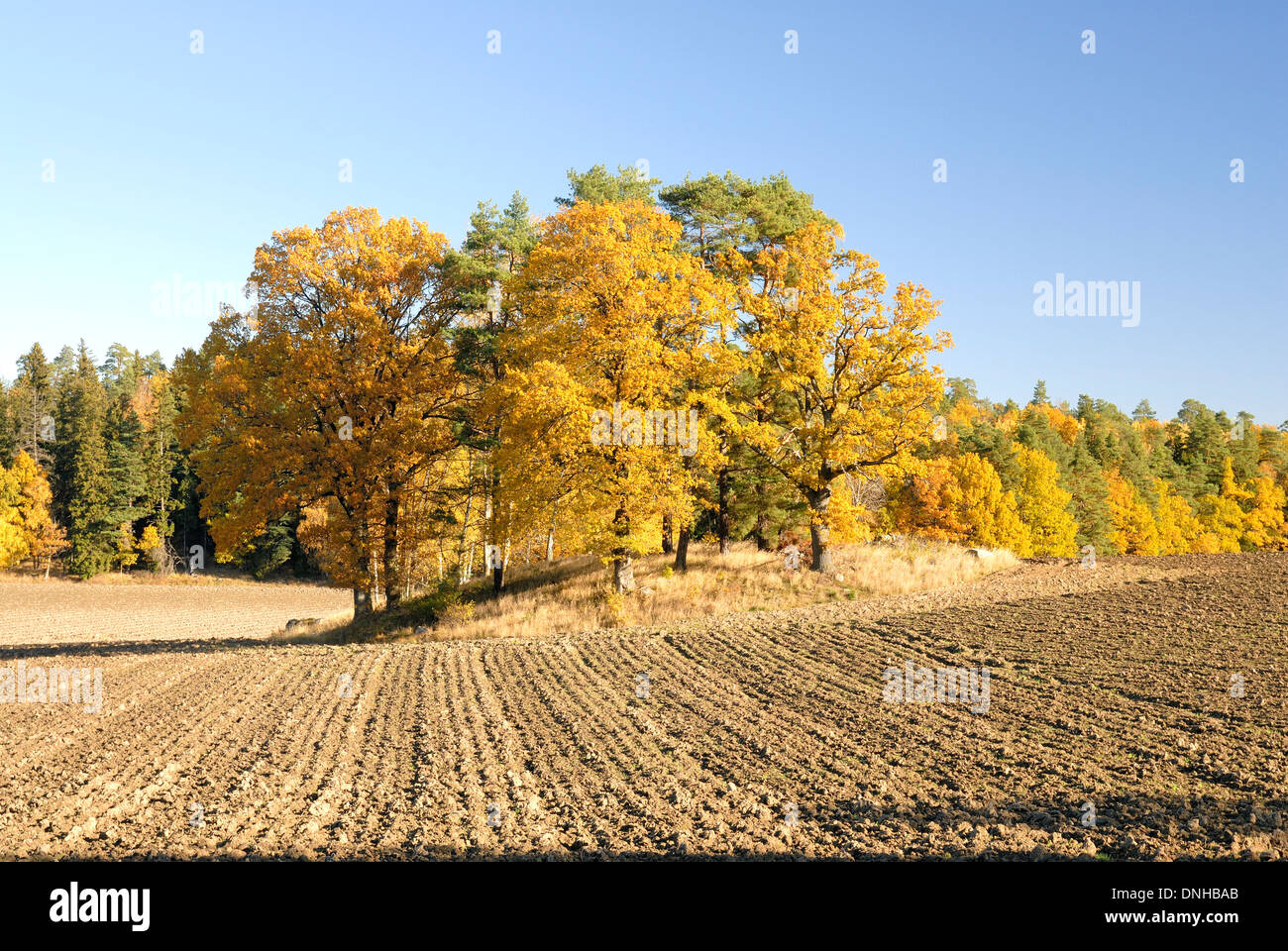 Sweden agriculture landscape hi-res stock photography and images - Alamy