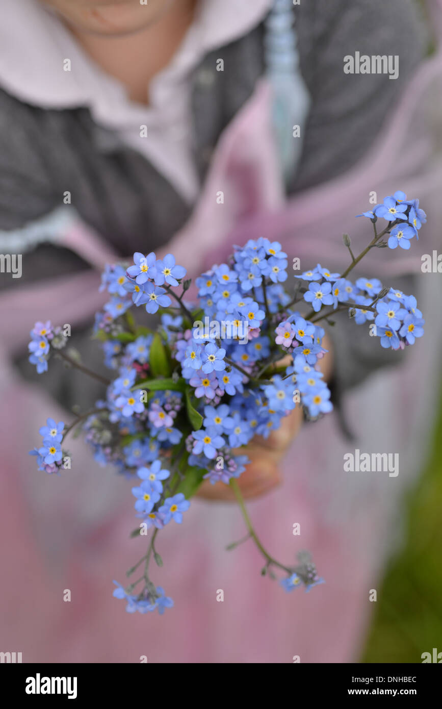 Forget me nots illustration hi-res stock photography and images - Alamy