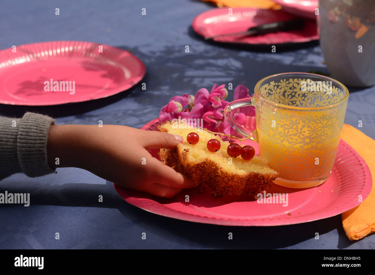 GATEAU BATTU (BEATEN CAKE) AND FRUIT JUICE, SOMME, PICARDY, FRANCE ...