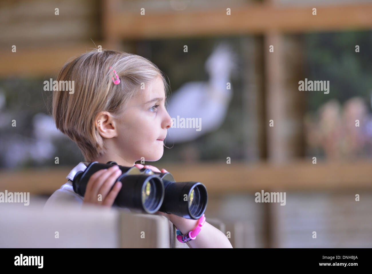 PARK OF THE MARQUENTERRE, NATURAL ORNITHOLOGICAL RESERVE, CHILDREN ...