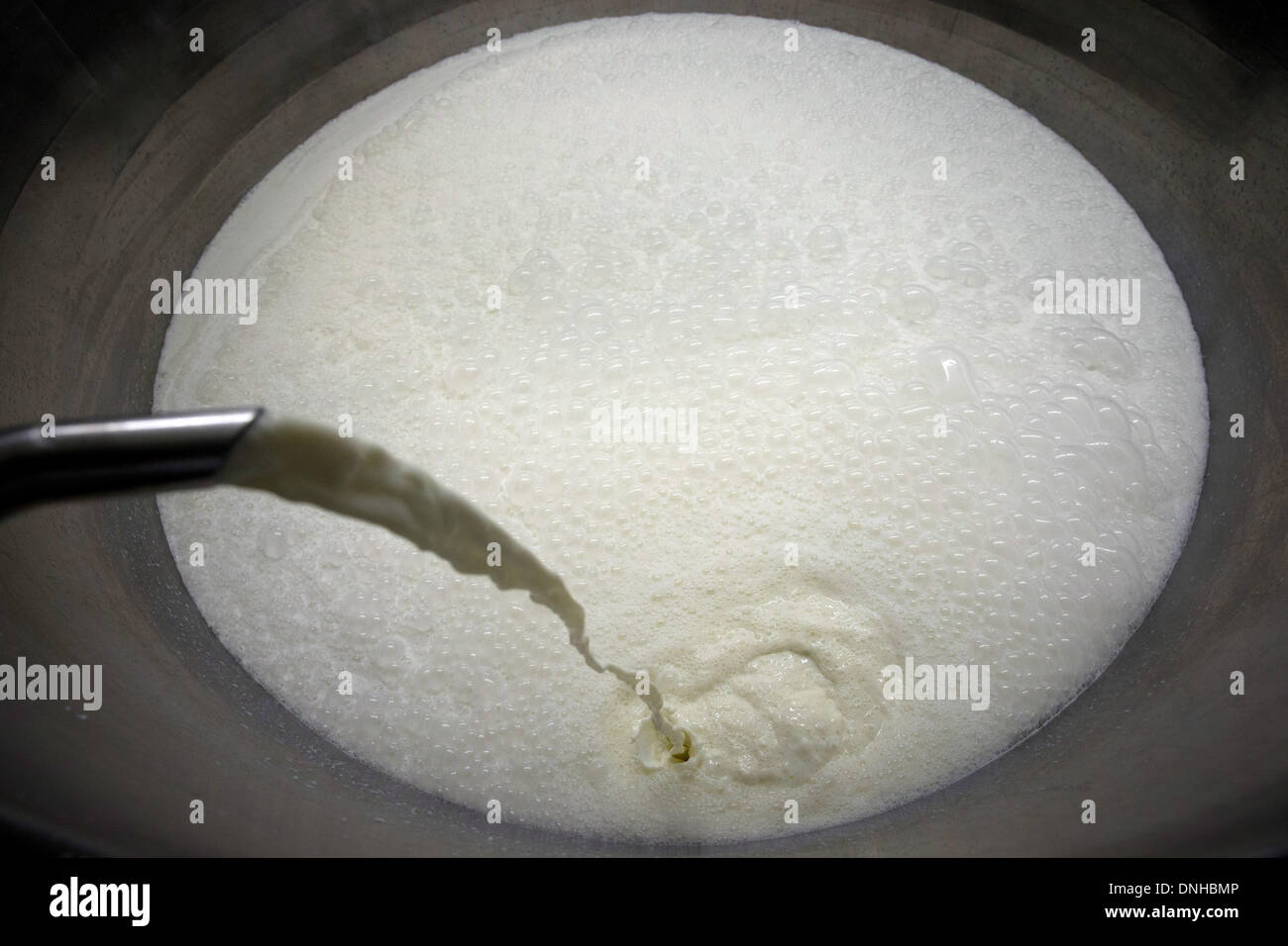 Fresh milk is filled into a large cheese vat in the milk kitchen of the ...