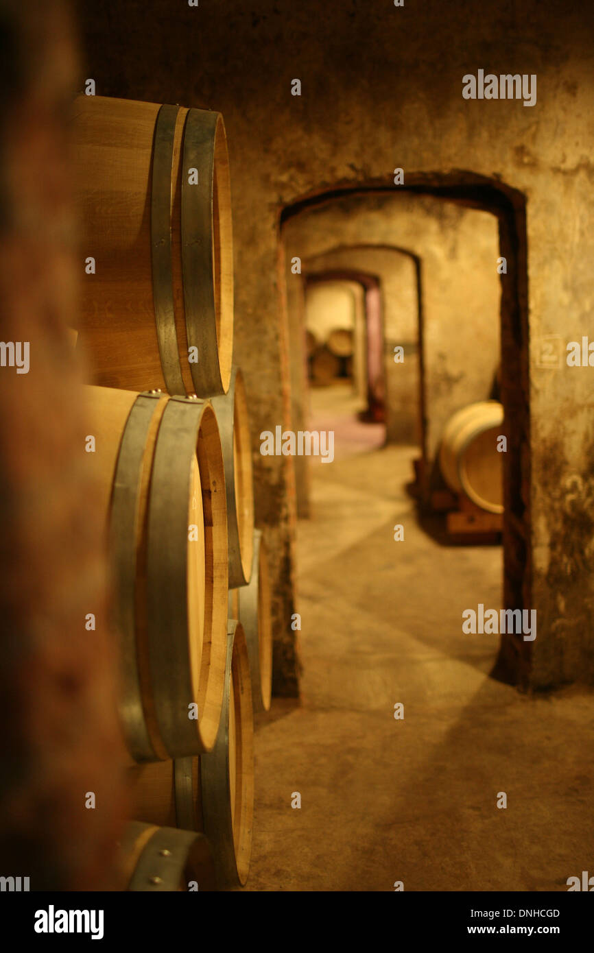 THE PRIORAT VINEYARDS, WINE CELLARS OF THE CIMES DE PORRERA, TARRAGONA ...