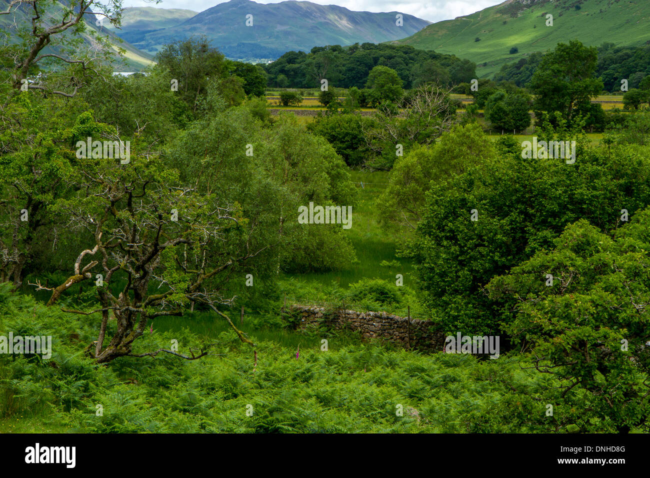 Buttermere valley from Scale Force Stock Photo - Alamy