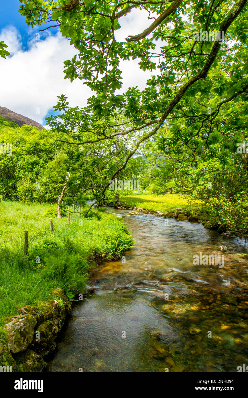 The River Scale winds it way at the foot of Scale Fell Stock Photo - Alamy