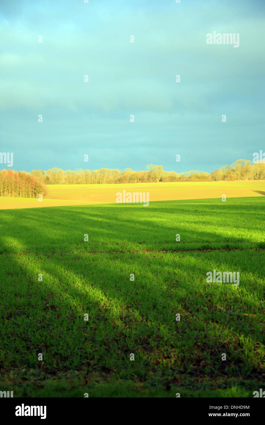 Brabourne lane hi-res stock photography and images - Alamy