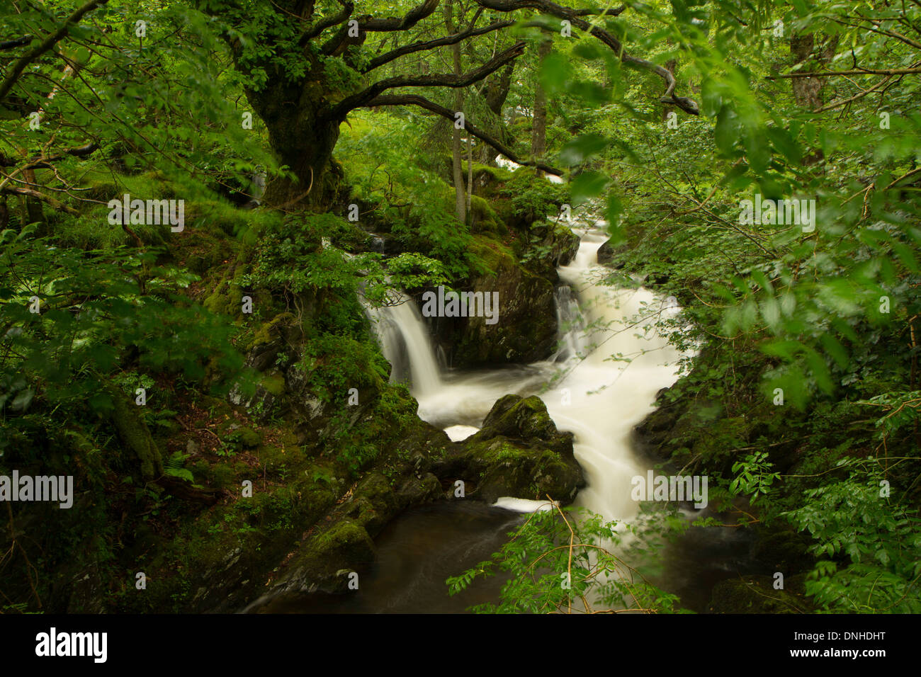 Rydall Falls in the Lake District Stock Photo - Alamy