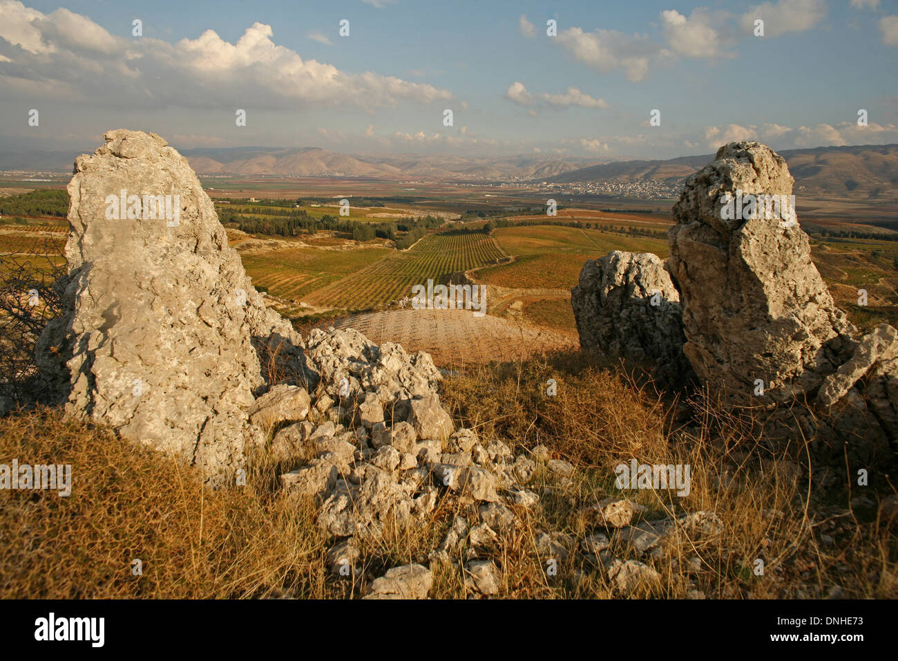 CHATEAU KEFRAYA VINEYARDS, BEKKA VALLEY, THE MOUNTAINS IN THE ...