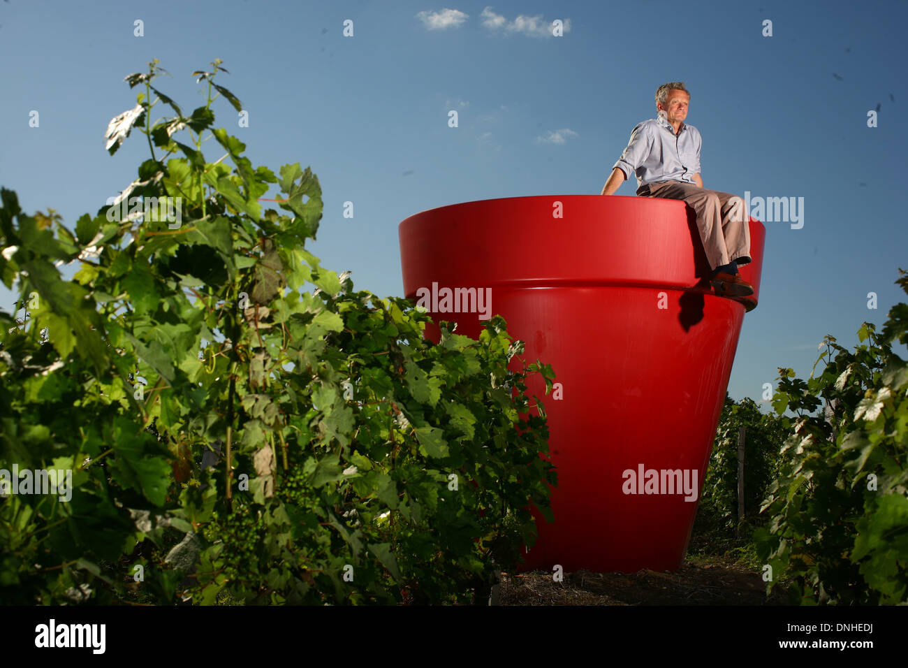 GERARD PERSE, PROPRIETOR OF THE CHATEAU PAVIE, SAINT-EMILION, (33 ...