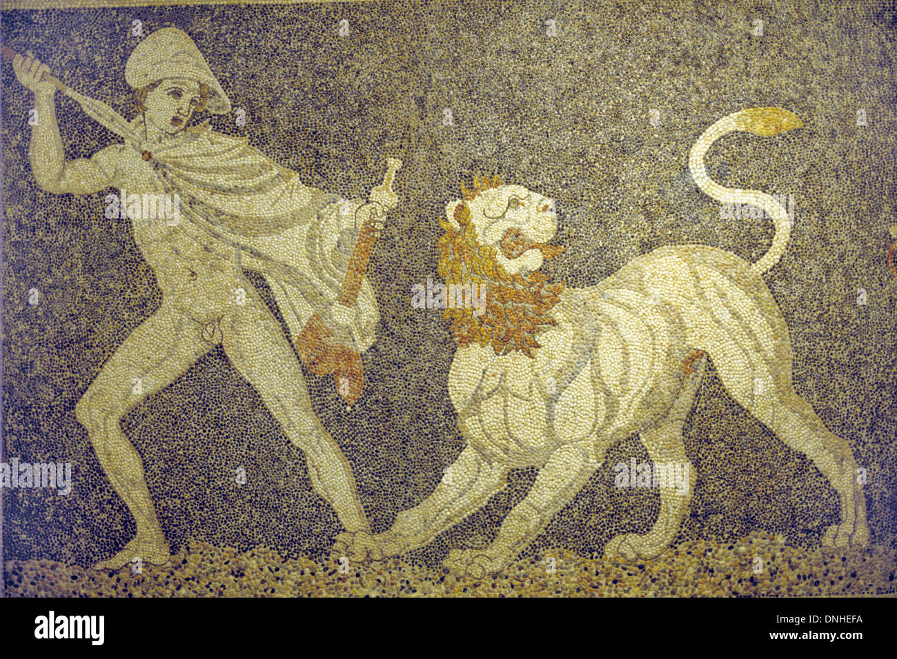 Roman Lion High Resolution Stock Photography and Images - Alamy
