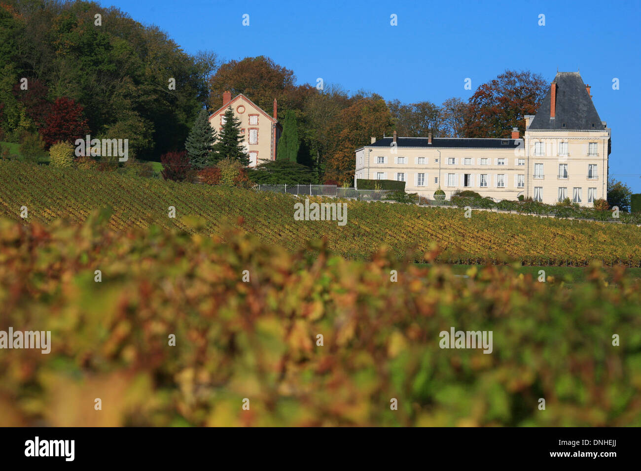 Moet and chandon chateau de saran hi-res stock photography and images ...