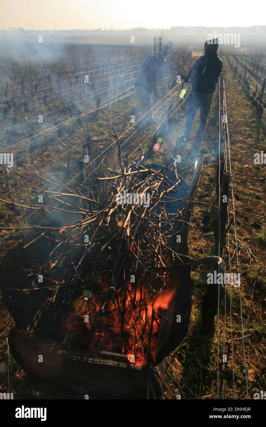 Burning of vine shoots hi-res stock photography and images - Alamy