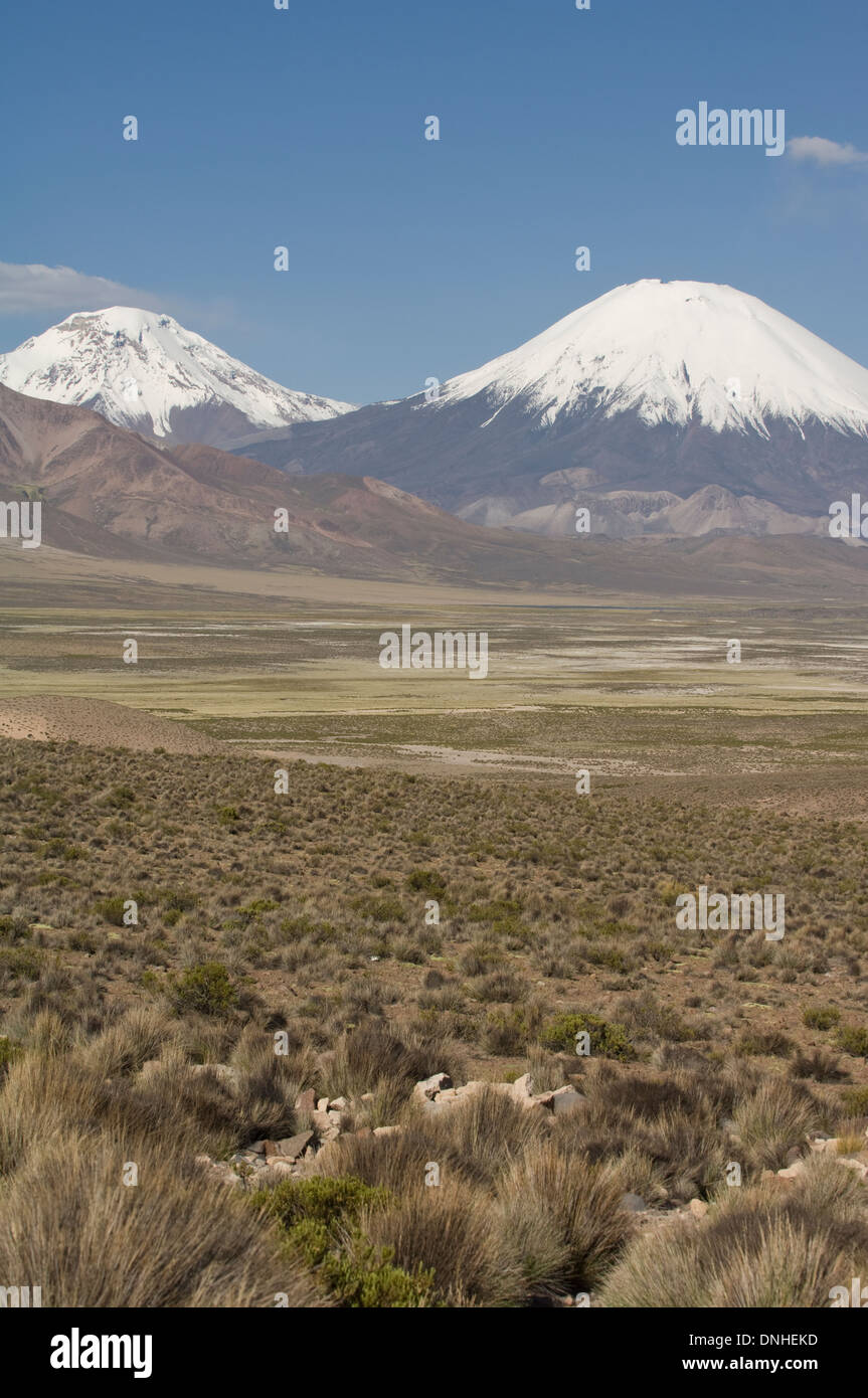 Parinacota and Pomerape volcanoes, Lauca national park, Chile Stock ...