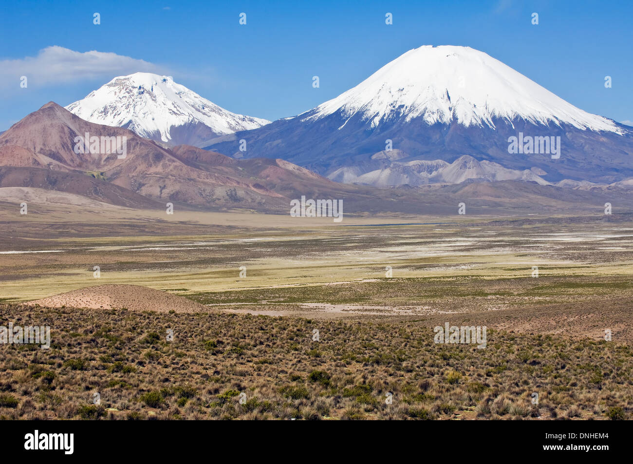 Parinacota and Pomerape volcanoes, Lauca national park, Chile Stock ...