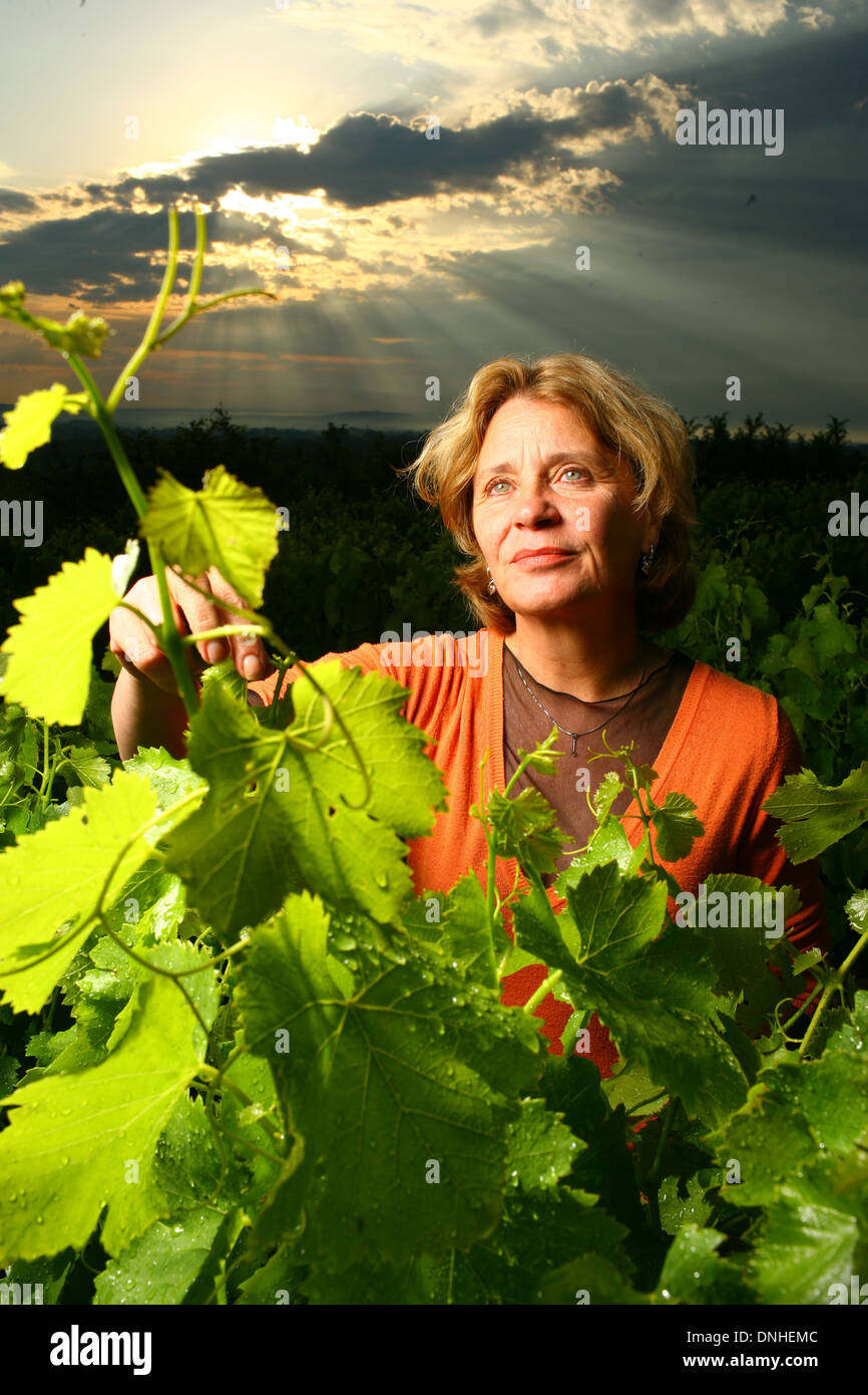 BRIGITTE NOEL, CHATEAU NOEL SAINT-LAURENT NEAR AVIGNON, (84) VAUCLUSE ...