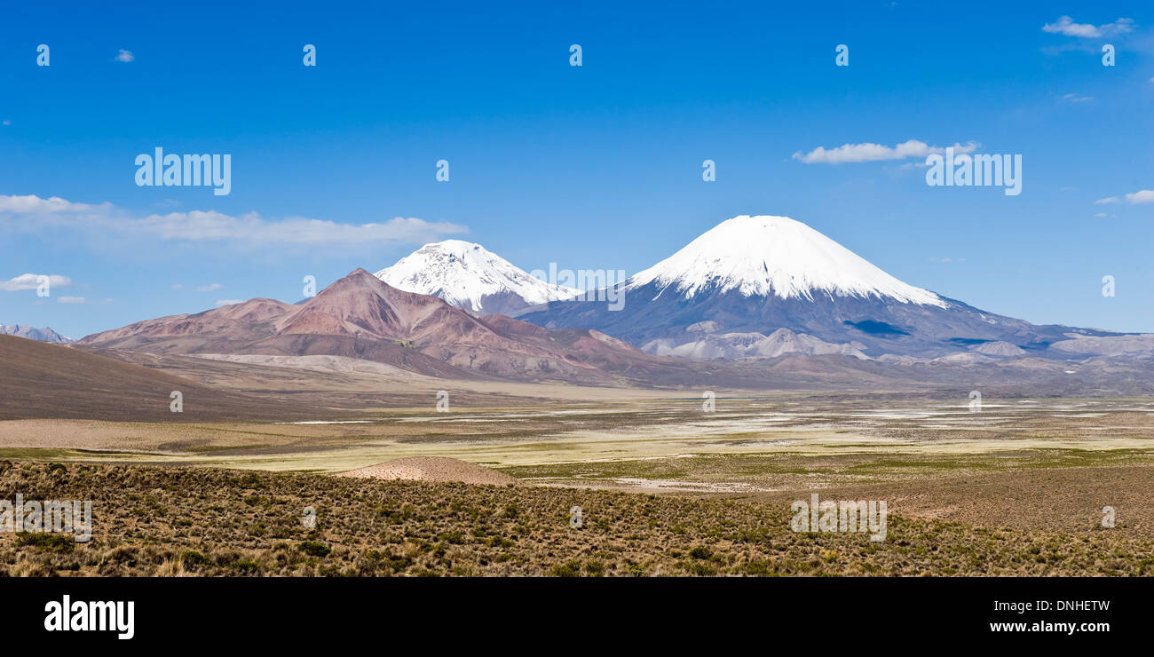 Parinacota and Pomerape volcanoes, Lauca national park, Chile Stock ...