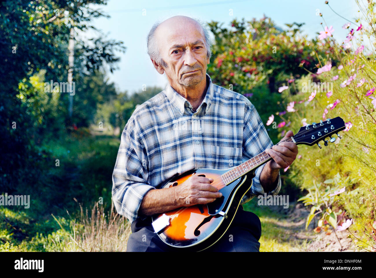 Senior man playing mandolin outside on the green background Stock Photo ...