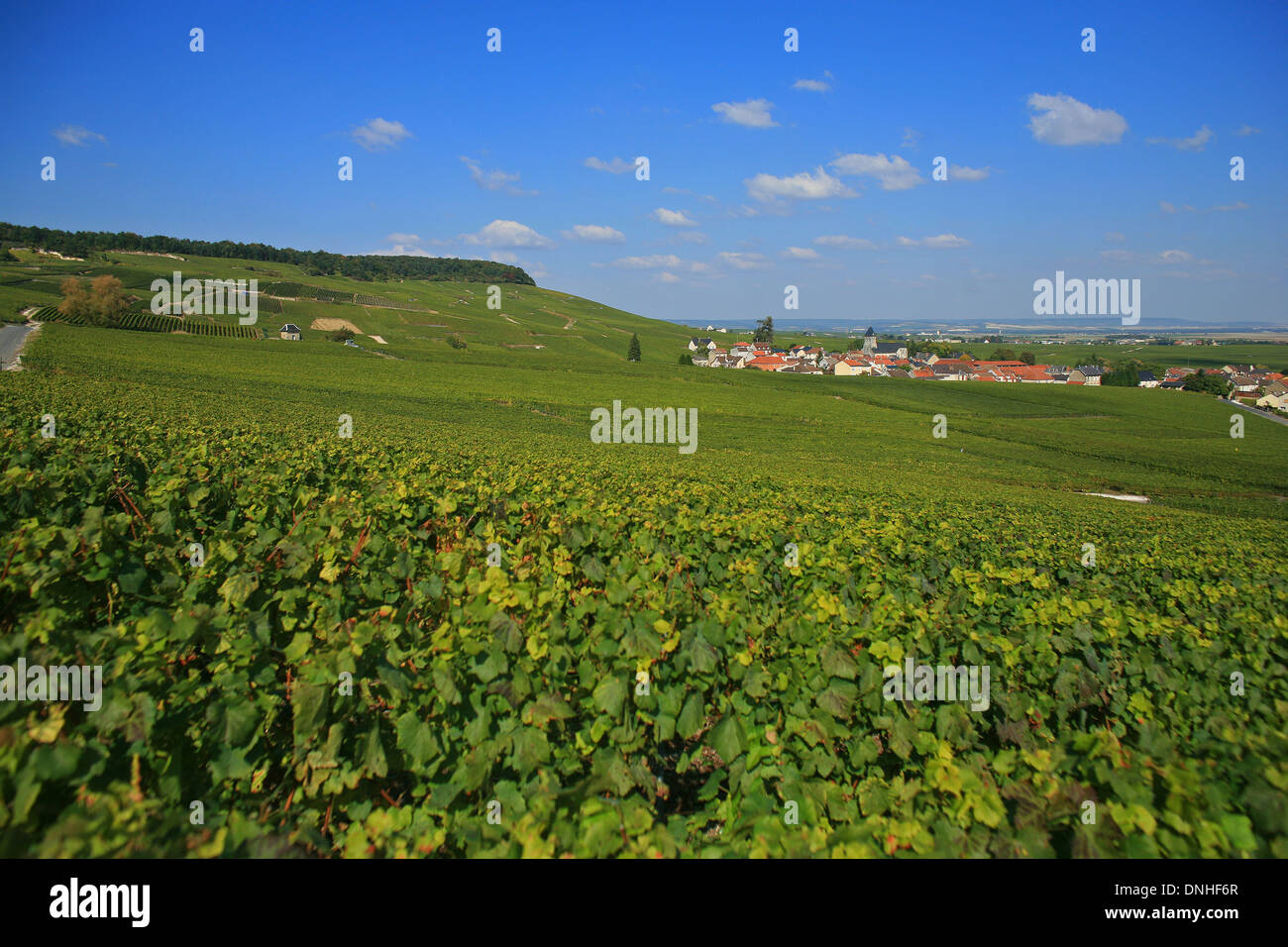 Oger village in the champagne vineyards hi-res stock photography and ...