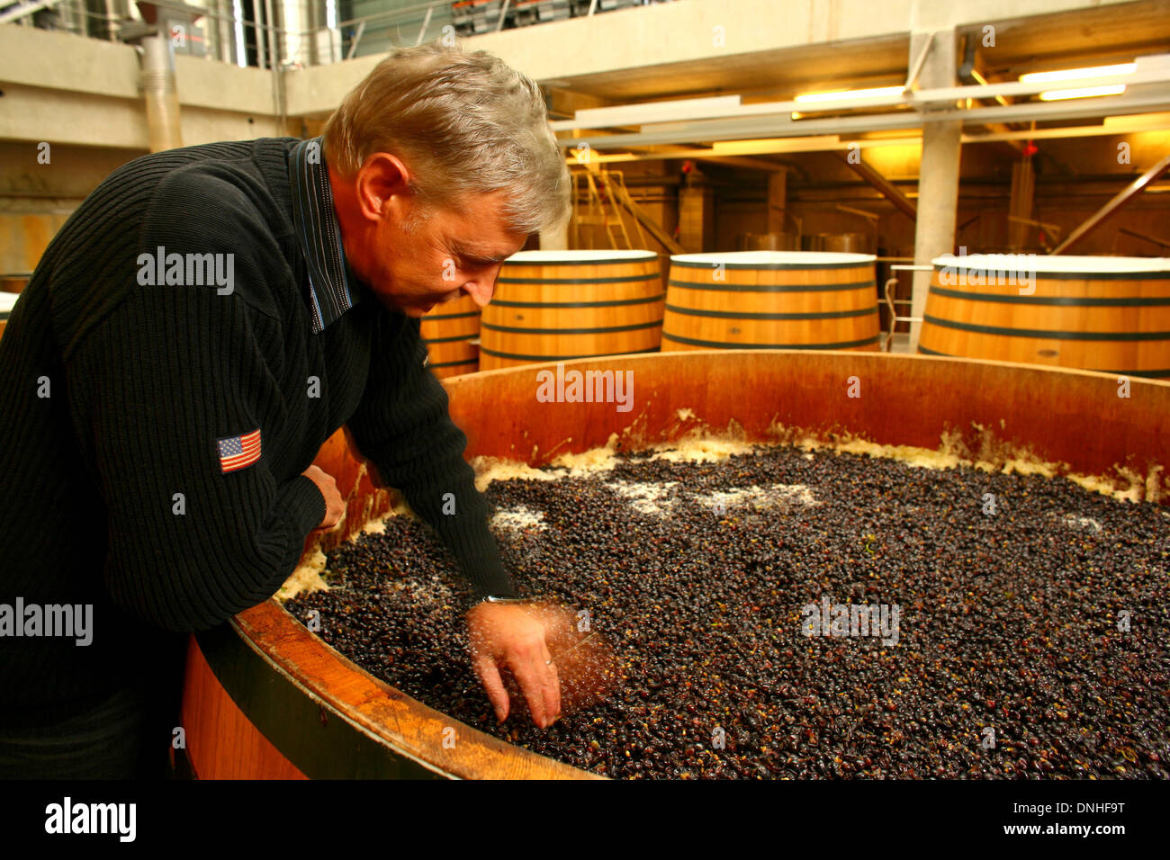 ANALYZING THE PINOT NOIR MUSTS, MAISON BOUCHARD, BEAUNE, COTE-D'OR (21 ...