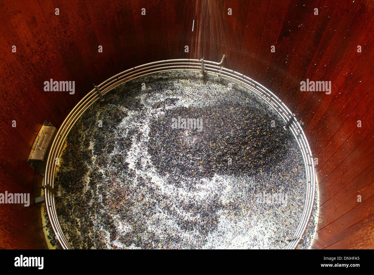 Fermenting vat of grapes hi-res stock photography and images - Alamy