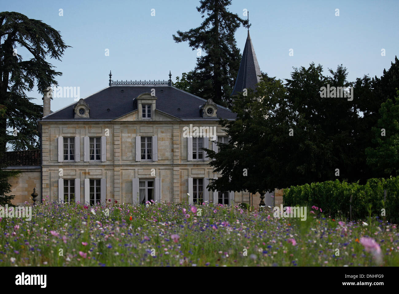 Chateau cheval blanc hi-res stock photography and images - Alamy