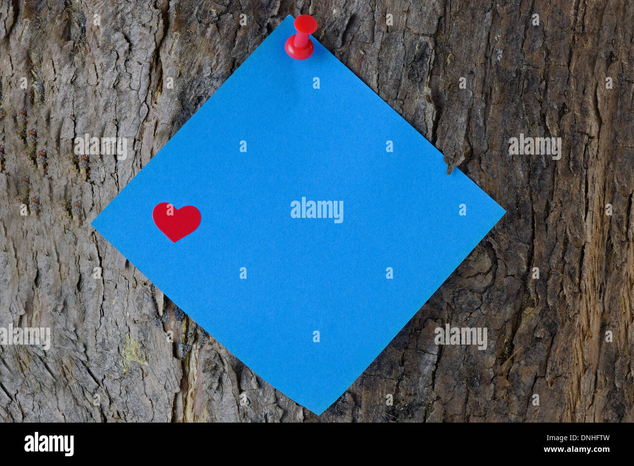 Blue post it note on a tree trunk with red thumb-tack and heart Stock ...