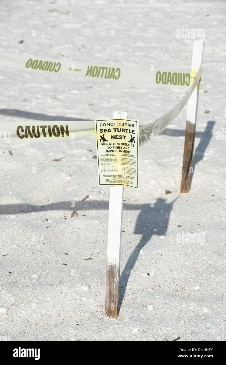 Sea turtle nesting spot on Marco Island, Florida Stock Photo - Alamy