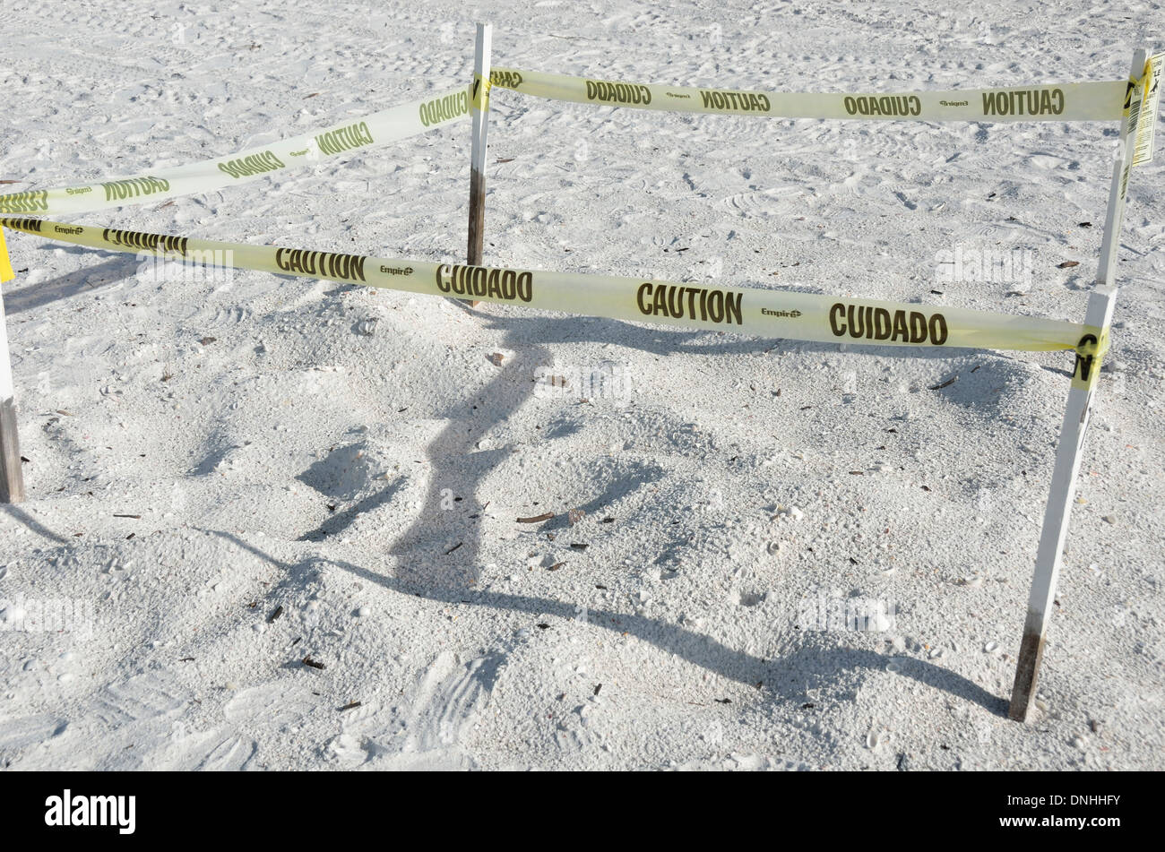 Sea turtle nesting spot on Marco Island, Florida Stock Photo - Alamy