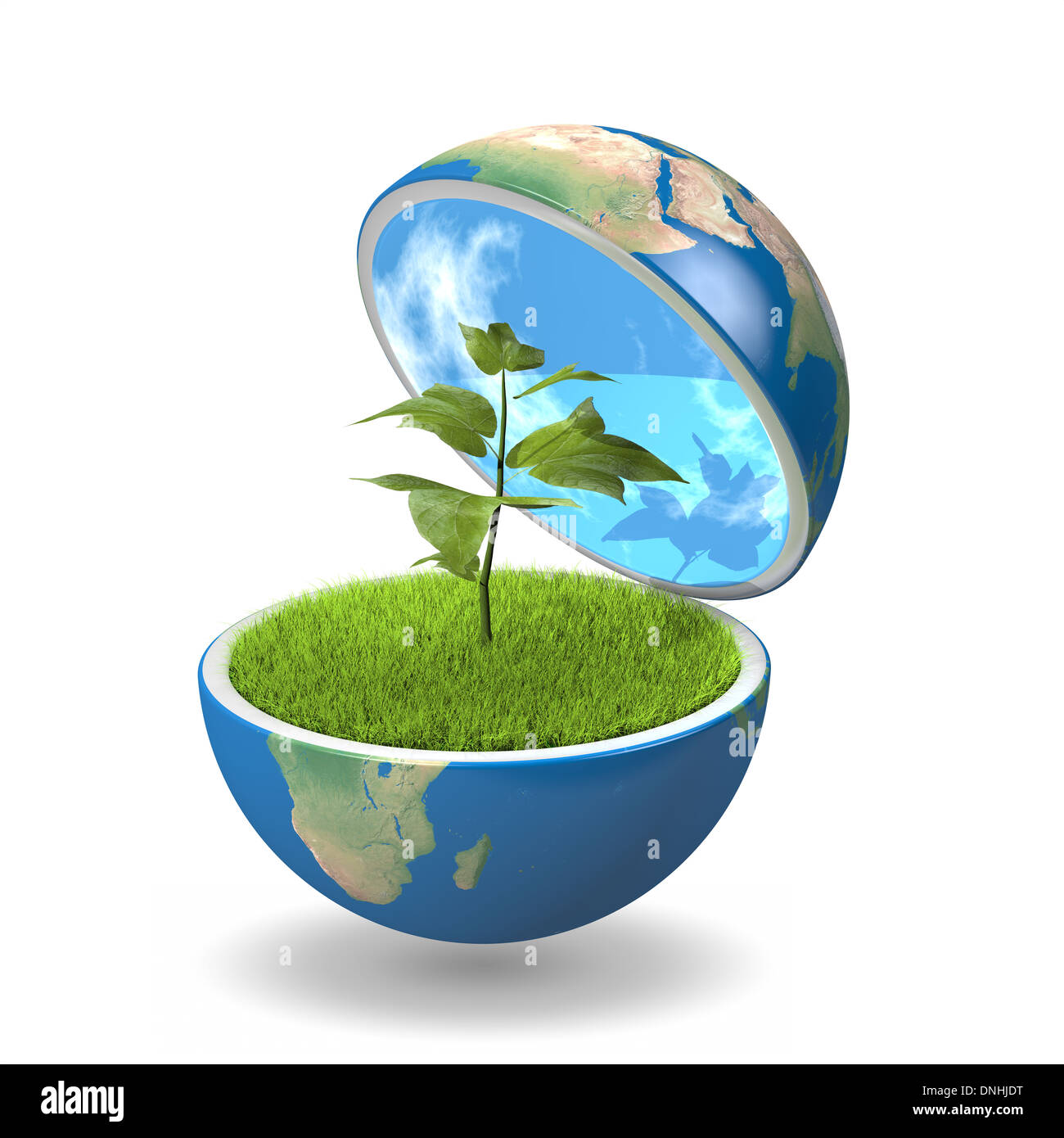 Small plant growing inside opened planet Earth, isolated on white background, concept of ecology ...