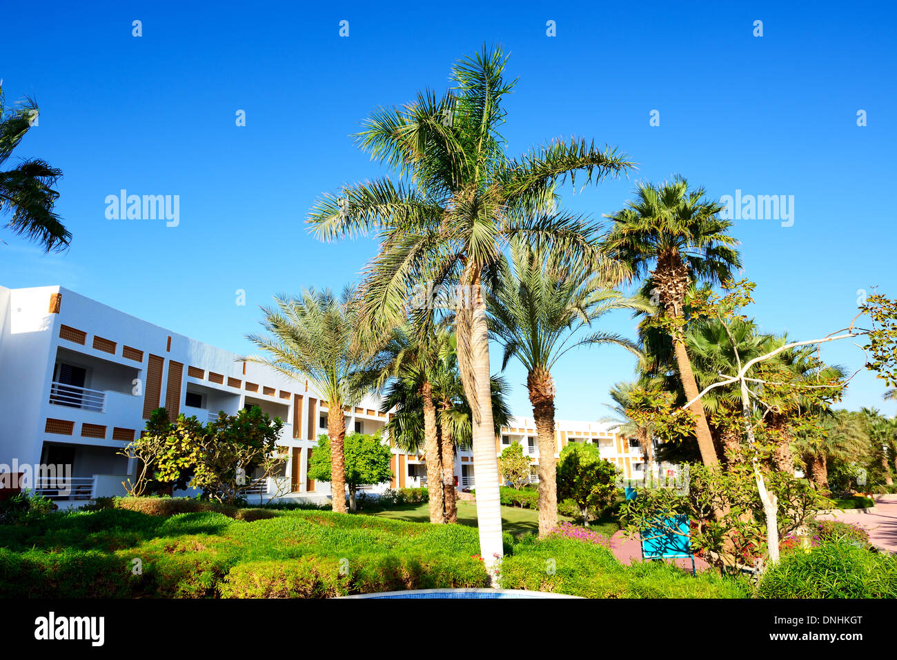 Building and recreation area of the luxury hotel, Sharm el Sheikh ...