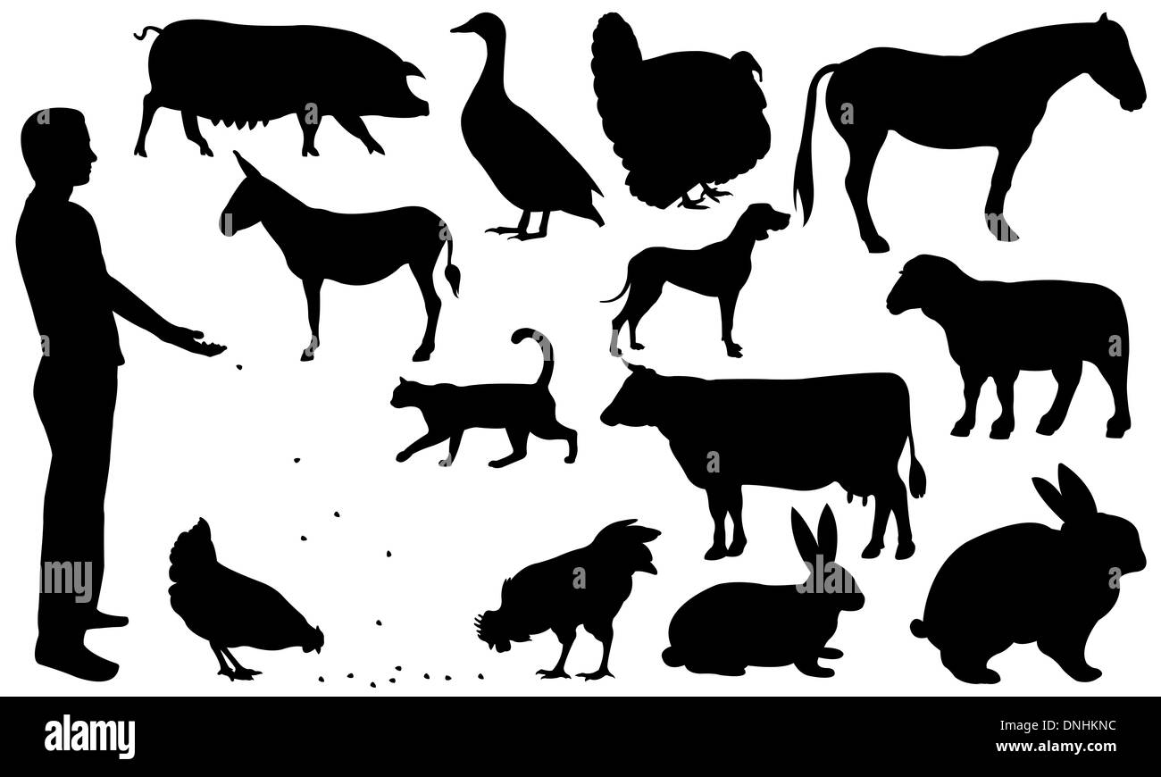 set of different farm animals isolated Stock Photo - Alamy