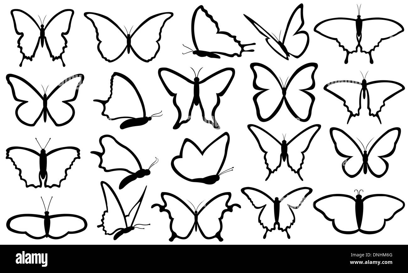 set of butterflies isolated Stock Photo - Alamy