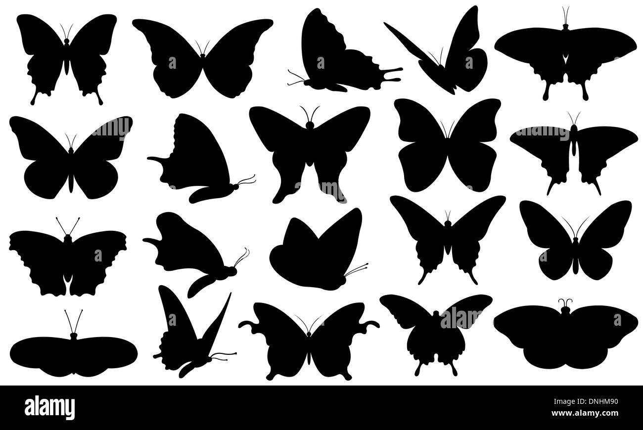 set of different butterflies Stock Photo - Alamy