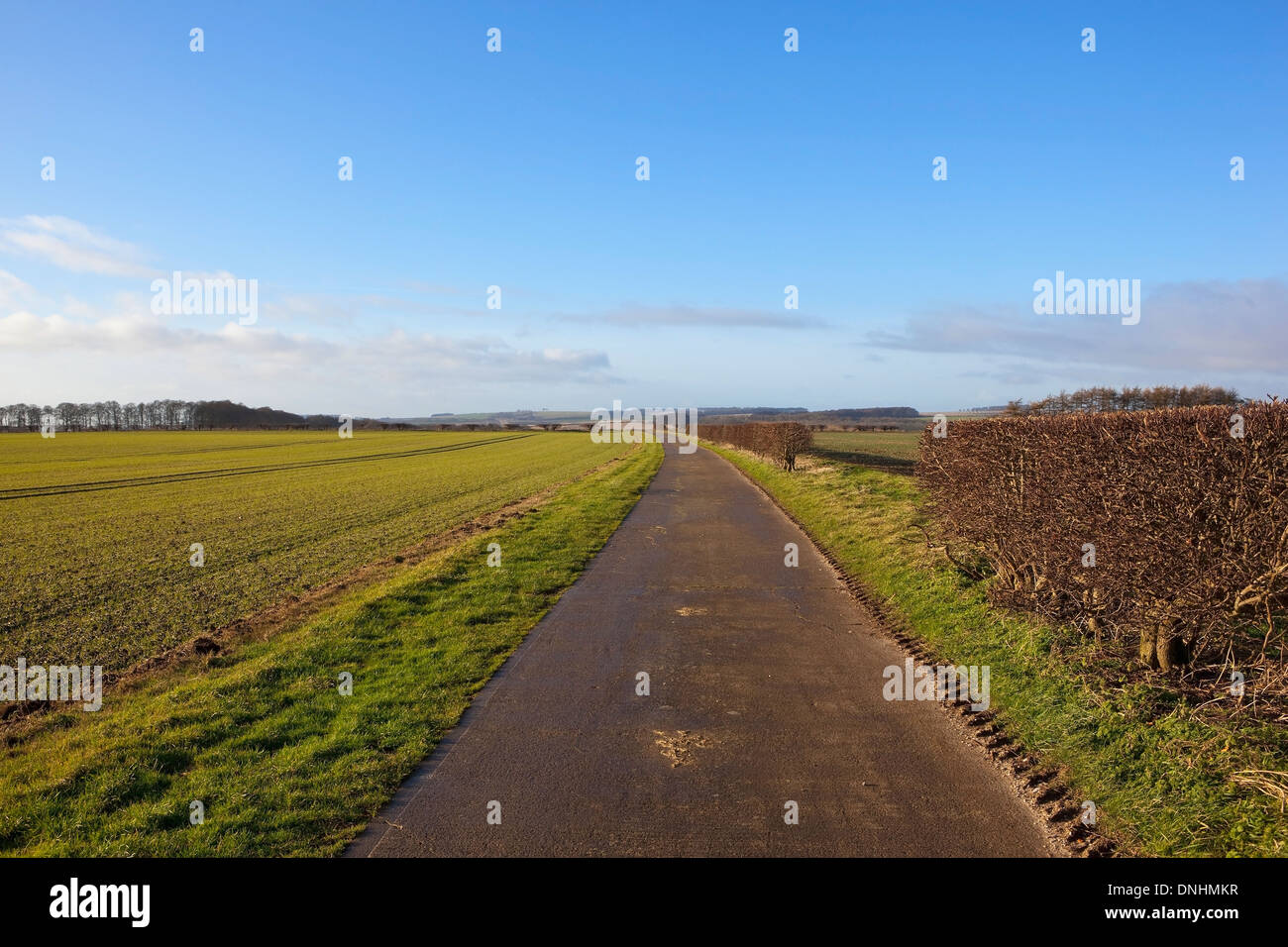 The minster way public access path and bridleway through the ...