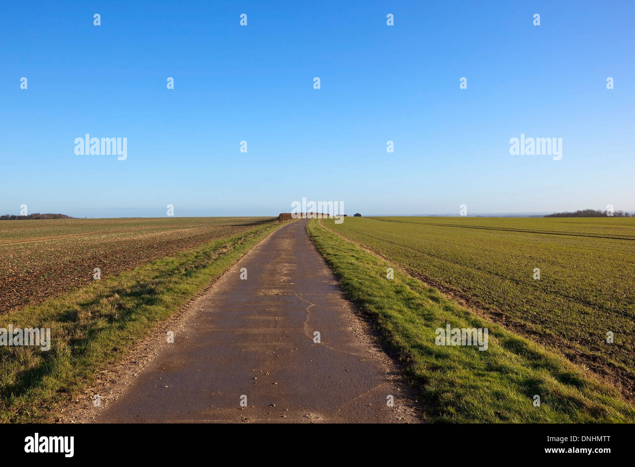The Minster way bridleway and footpath through the wide open spaces of ...