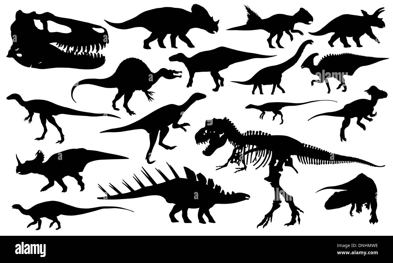 Different dinosaur Black and White Stock Photos & Images - Alamy