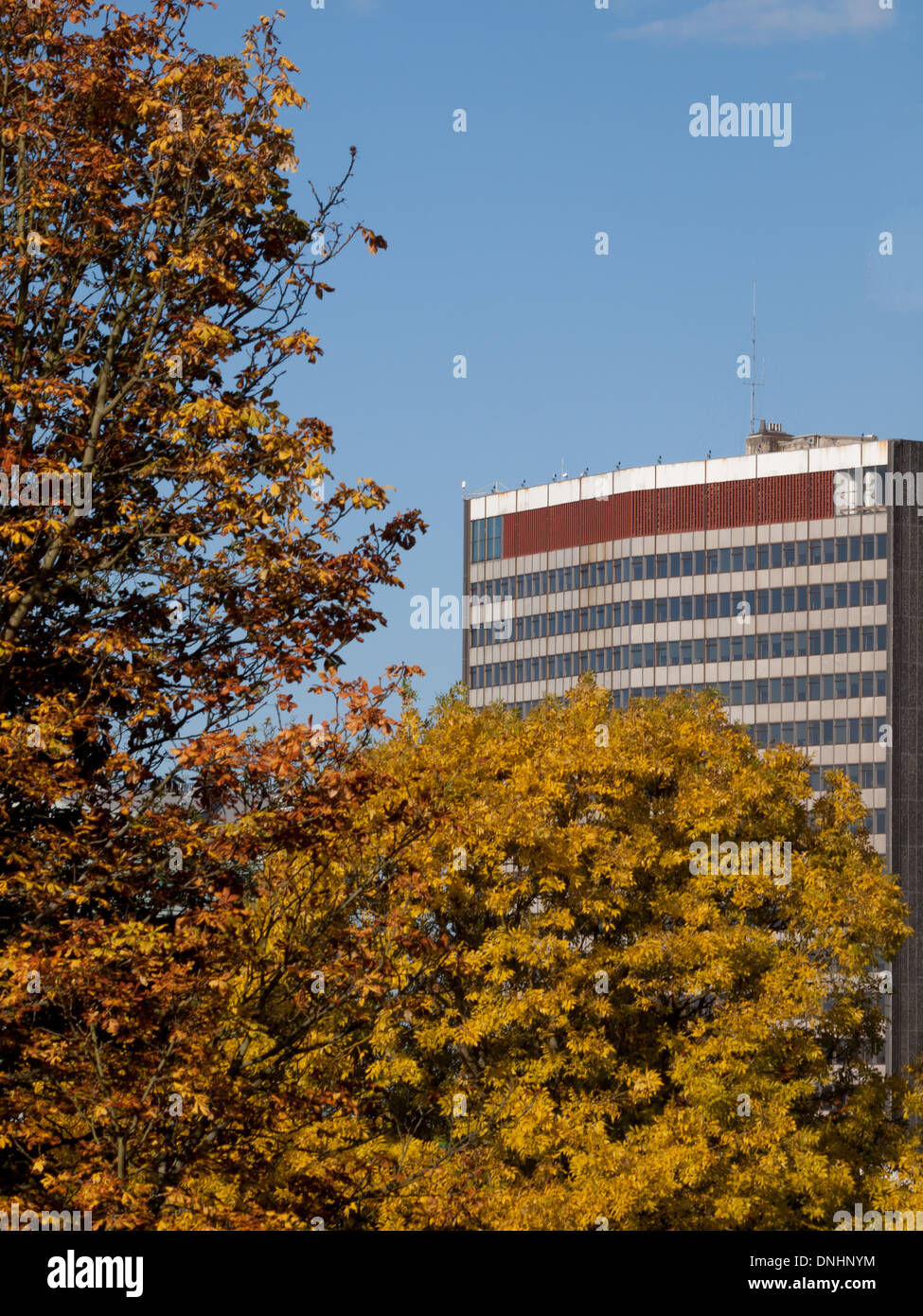 The former Nestle building in central Croydon, framed by trees Stock ...