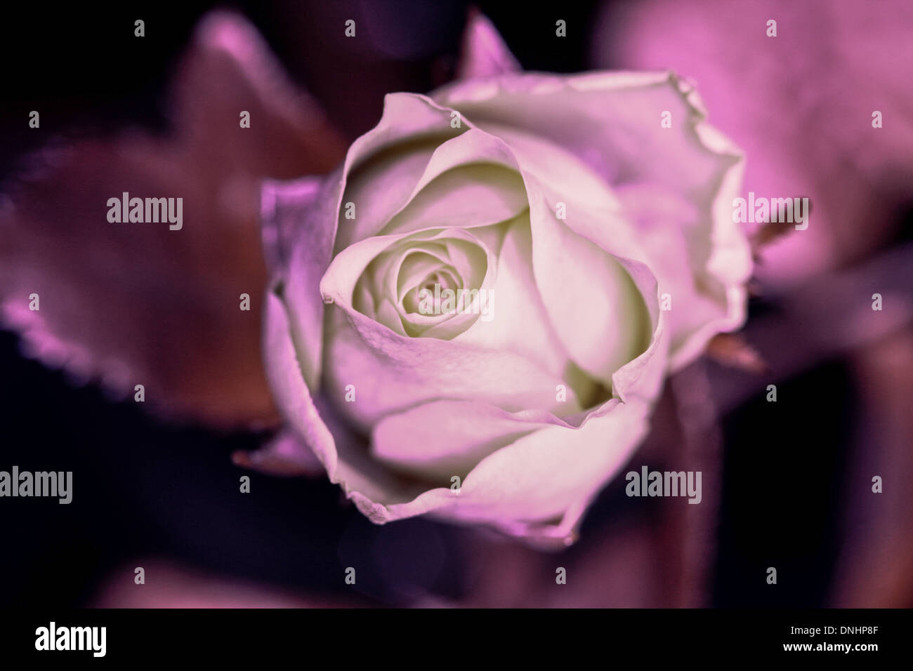 Uv pass filter hi-res stock photography and images - Alamy