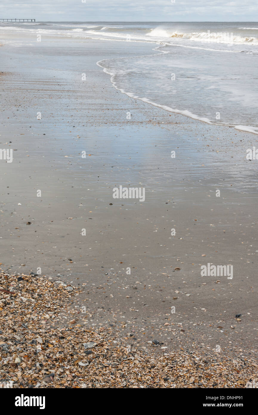 Wet sand and shells on an empty shoreline in Jacksonville Beach on ...