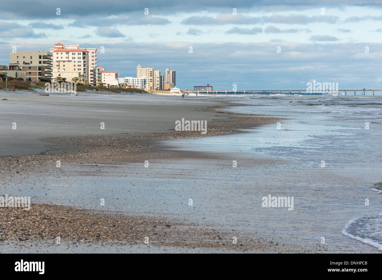 Florida beach shells hi-res stock photography and images - Alamy