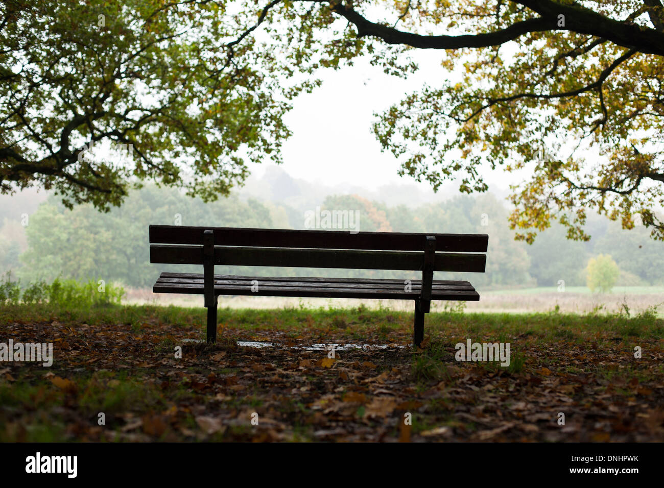 Under The Oak Trees High Resolution Stock Photography and Images - Alamy