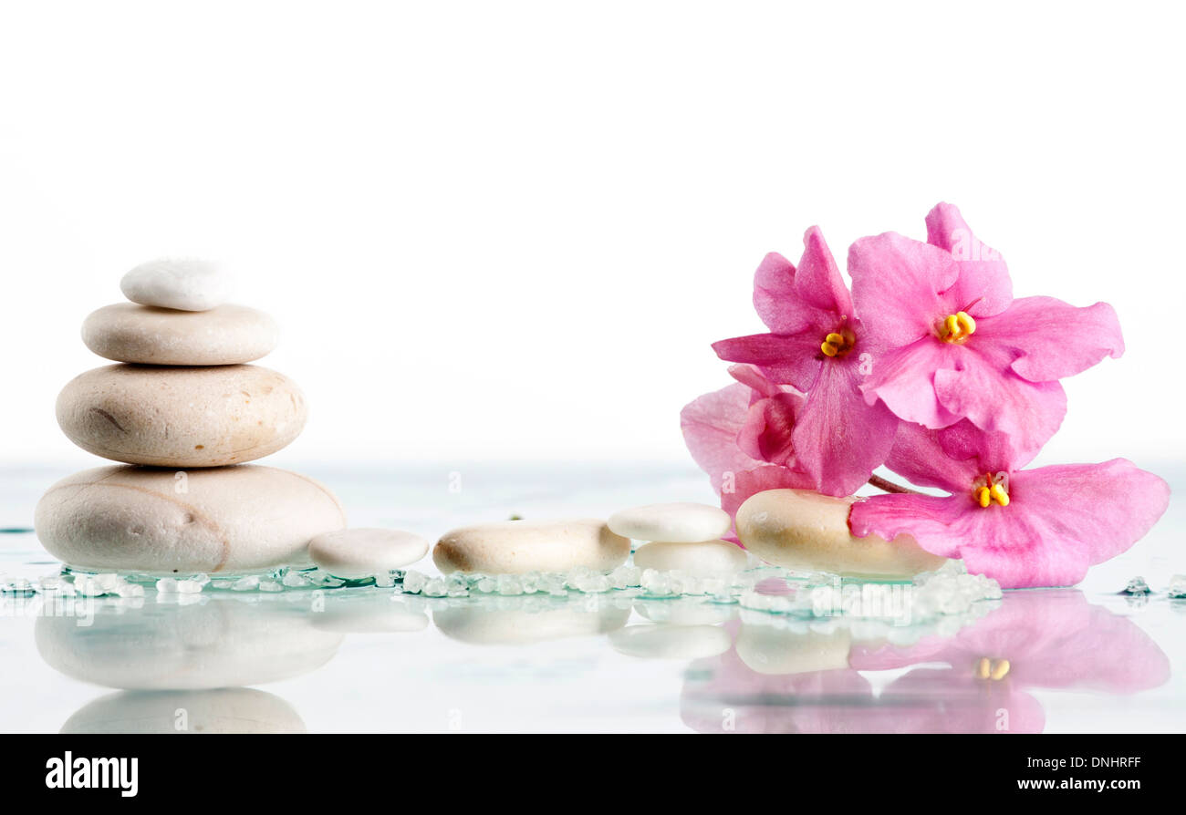 White Spa stones and pink flower on white Stock Photo - Alamy