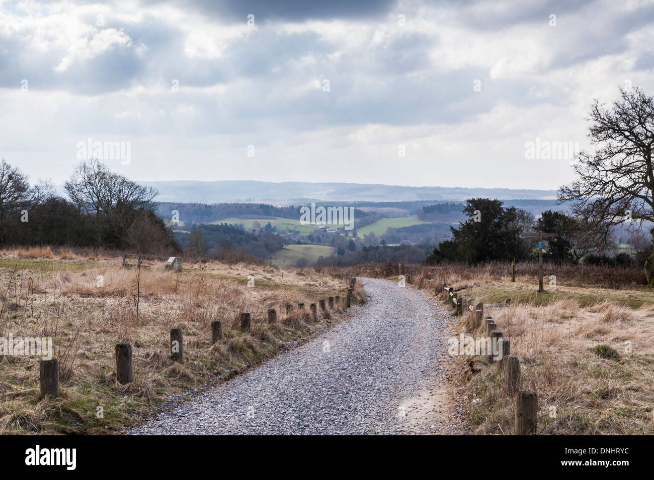 Landscape view of winter Surrey countryside in March: panoramic view ...