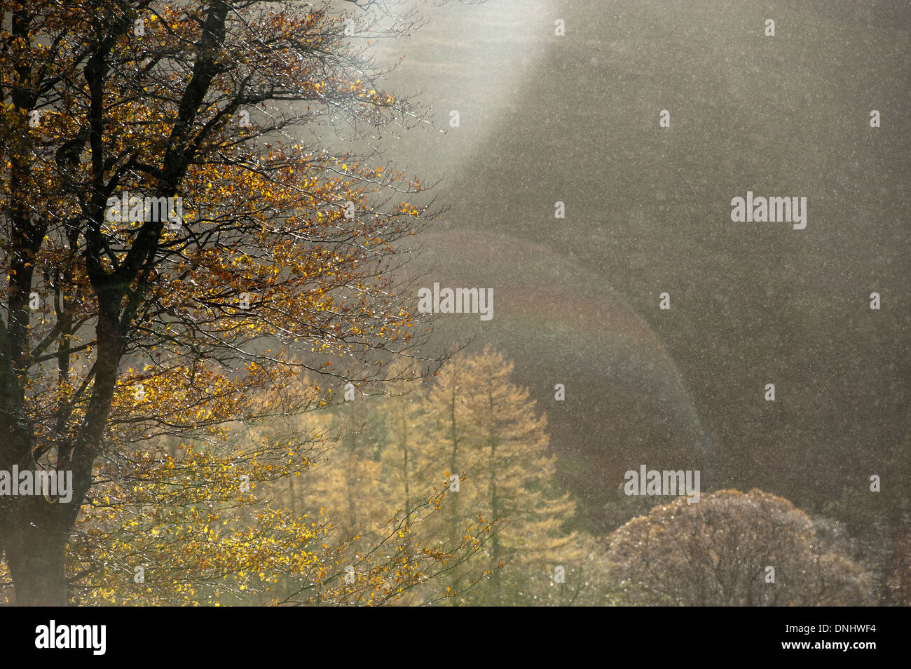 Light rain hi-res stock photography and images - Alamy